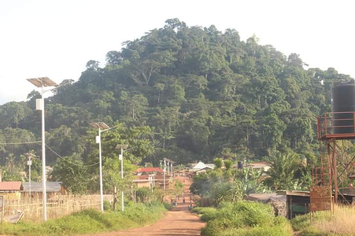 Bossou: la reconstitution de la forêt n’est pas bénéfique, que pour une ...