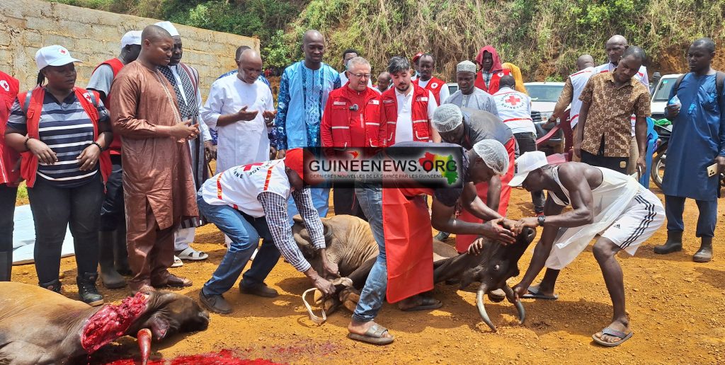 Humanitaire-Tabaski : le Croissant-Rouge turc et la Croix-Rouge ...