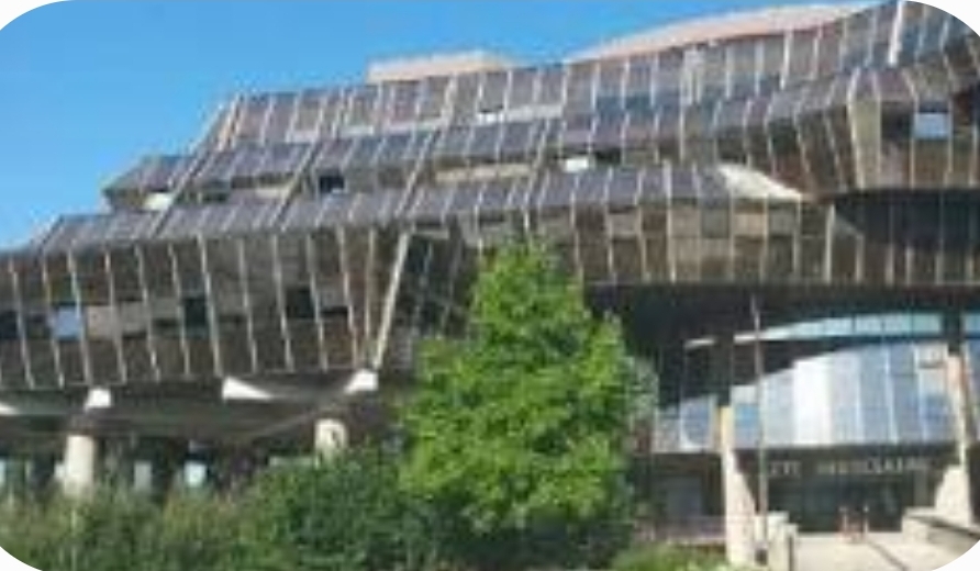 France : un marabout guinéen condamné à 2 ans ferme après le suicide d ...